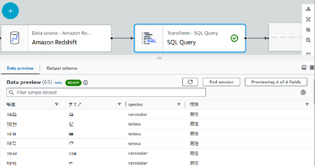 【AWS】AWS Glue Visual ETL Jobでカスタム変換ノードを利用してPandasを使用する | QES ブログ
